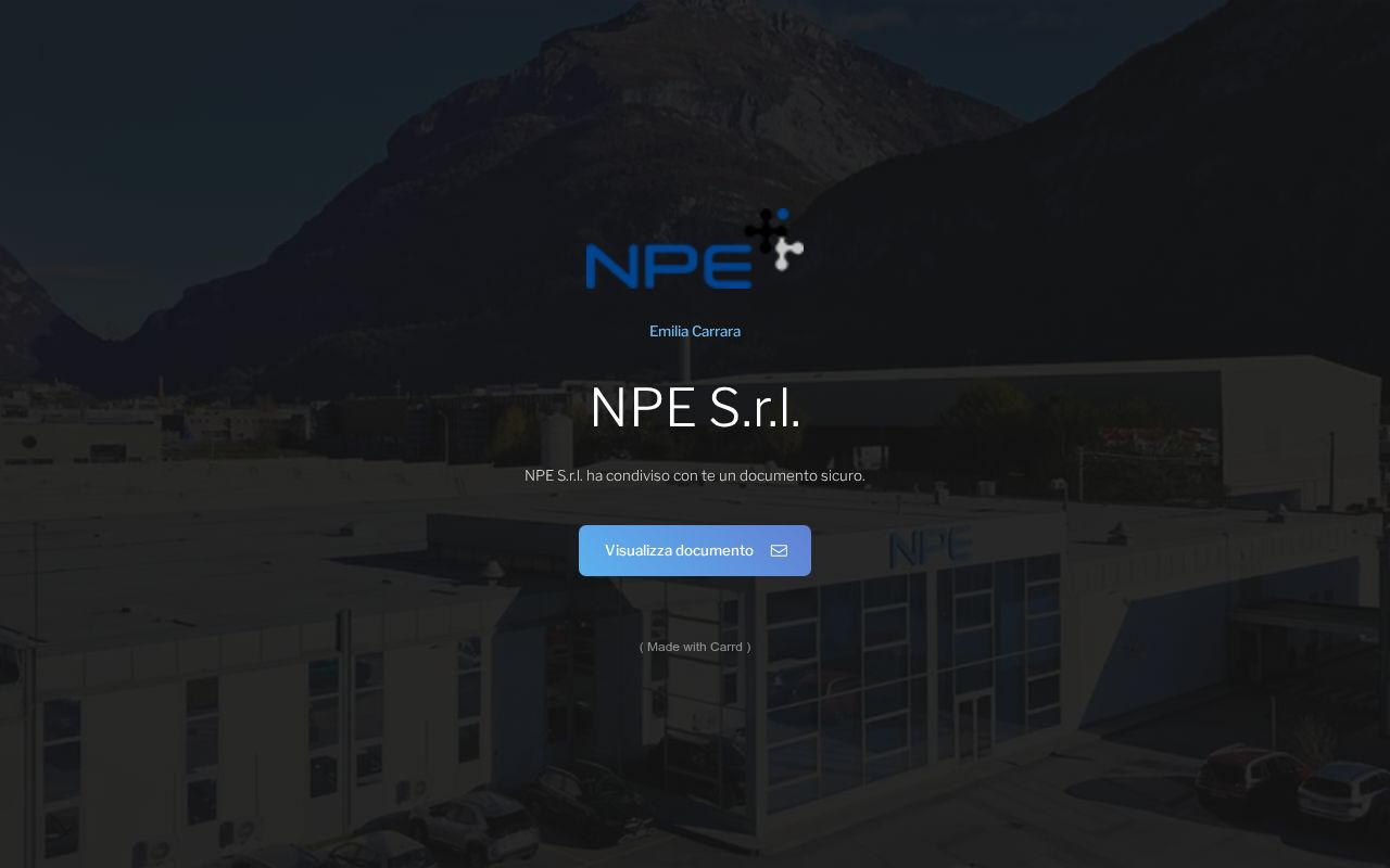 NPE SRL
